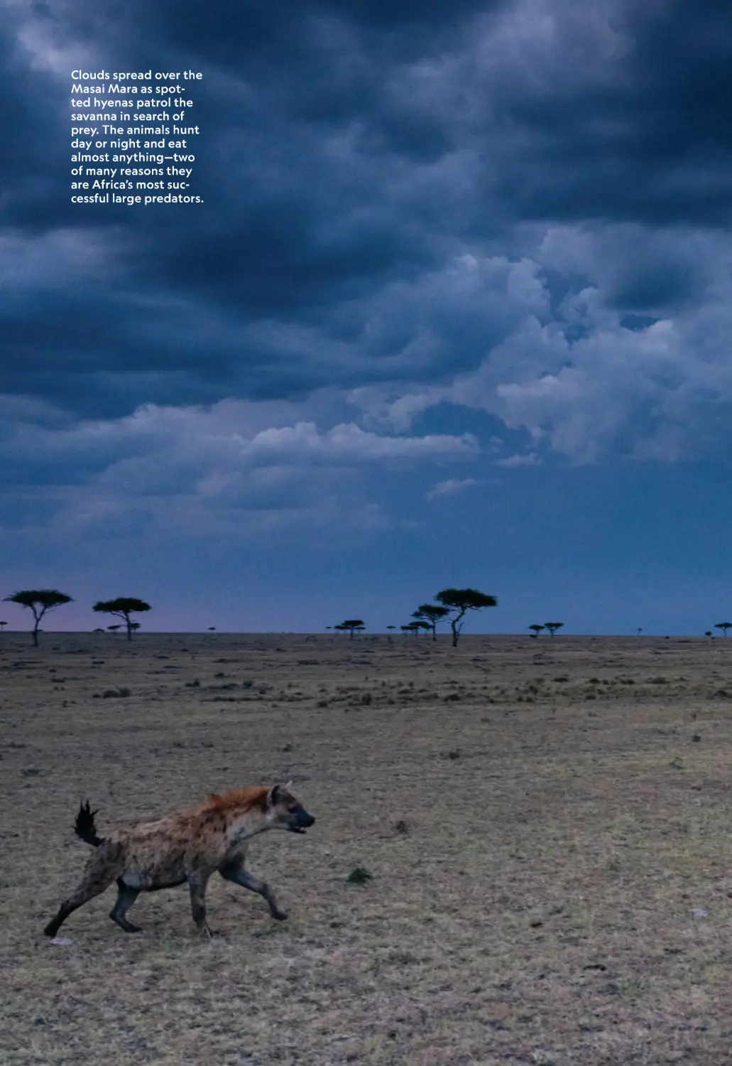 National Geographic. Volume 245. Issue 3 (March 2024)